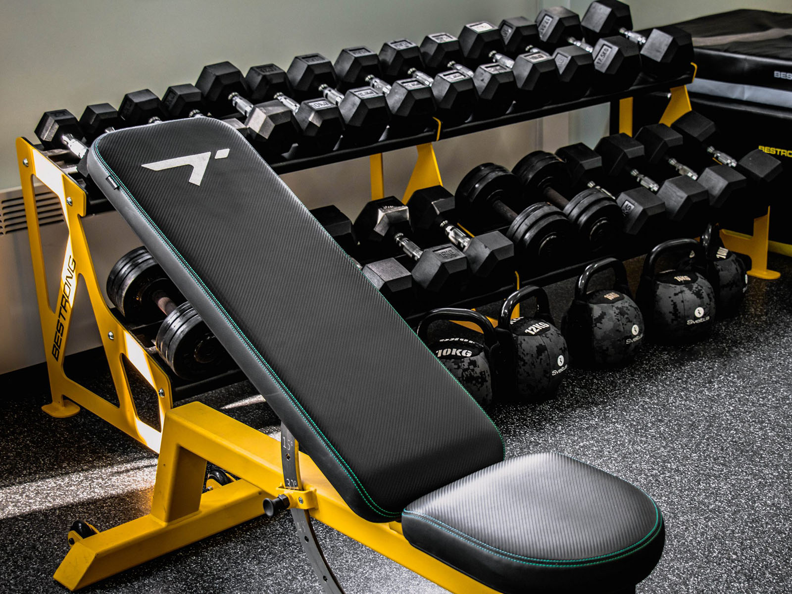 Sissy Squat - BeStrong Global