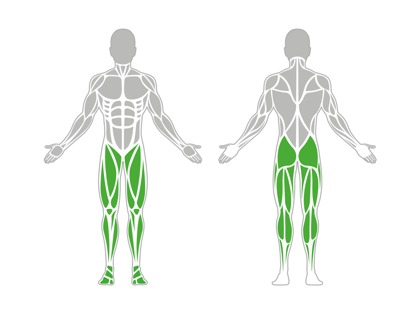 Leg abductor and Hip swing - BeStrong Global