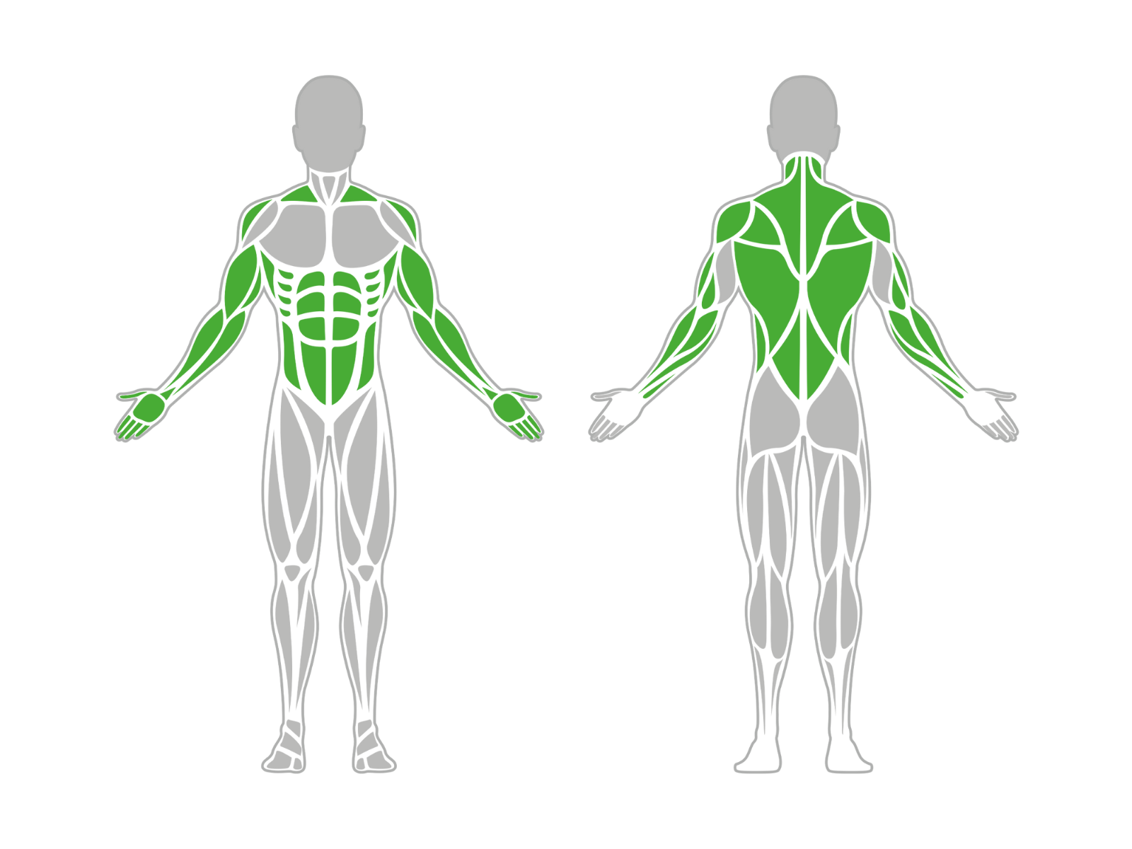 Monkey Rack - BeStrong Global
